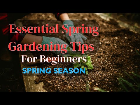 Essential Spring Gardening Tips for Beginners: Step-by-Step Guide to a Thriving Garden