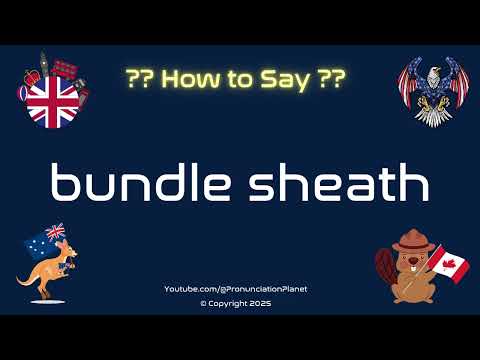๐ฟ๐ฆ How to Pronounce bundle sheath? (CORRECTLY) | Pronunciation Planet