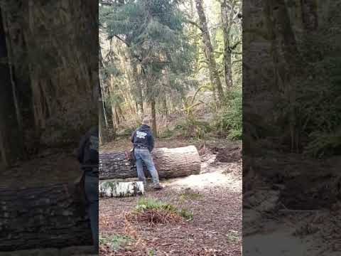 ZOOKS TREE SERVICE OTIS, OR. 2020 hyperlapse