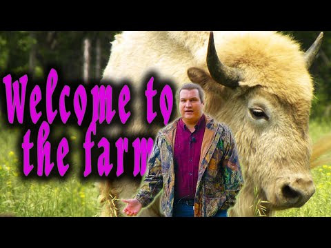 What is a Beefalo? Welcome to my family farm!!!