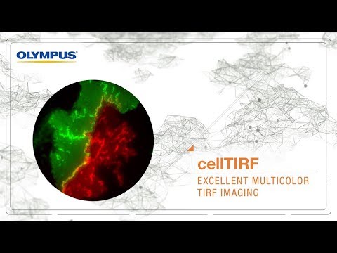 Olympus cellTIRF | Excellent Multicolor TIRF Imaging