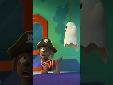 Zuma gets Spooked on Halloween!👻 #PAWPatrol #Shorts