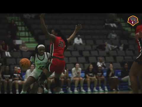 University of Charleston Women's Basketball vs Wheeling (2023 MEC Tournament)