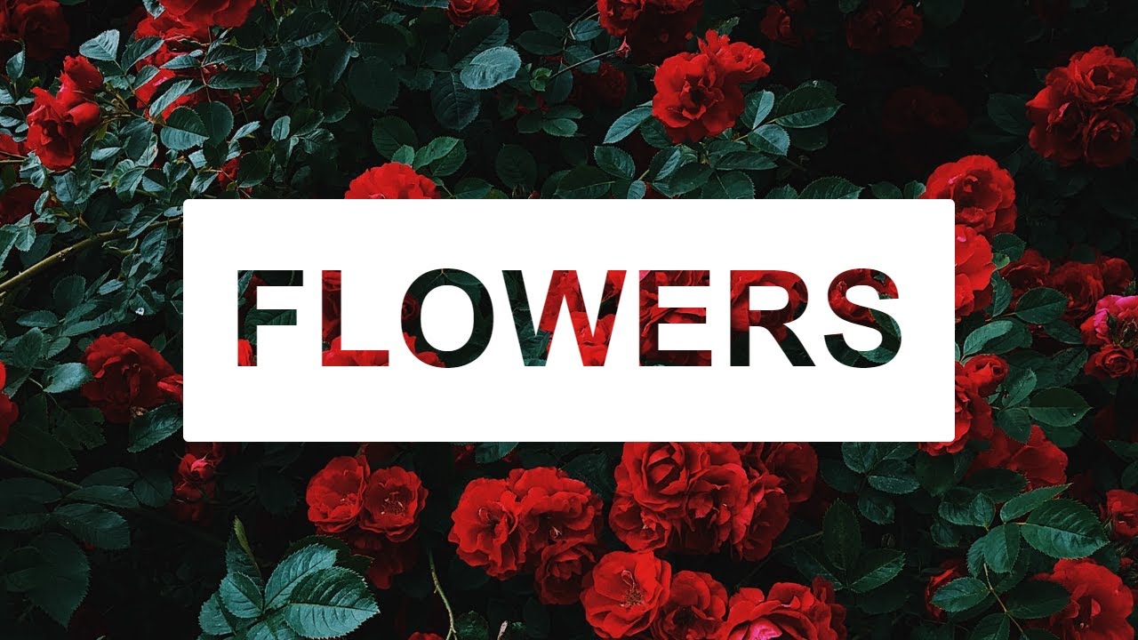 CSS Cut Text Effect | CSS Tutorial