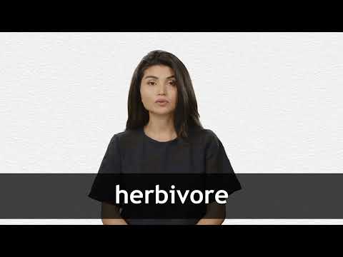 How to pronounce HERBIVORE in American English