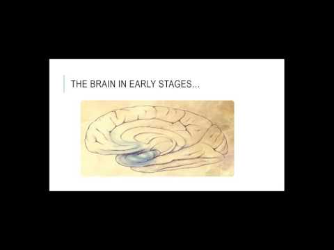 Review of Changes Associated with the Stages of Alzheimer's Disease