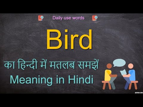 Birds meaning in Hindi || Birds meaning in English || Beard meaning