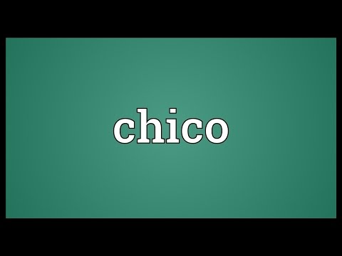 Chico Meaning
