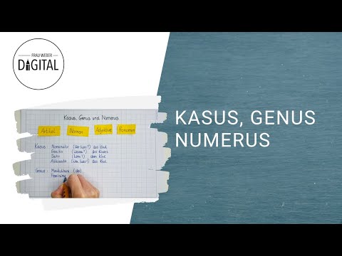 Kasus, Genus und Numerus - das bedeuten die Begriffe (inkl. Arbeitsblatt)