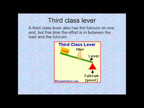 types of levers
