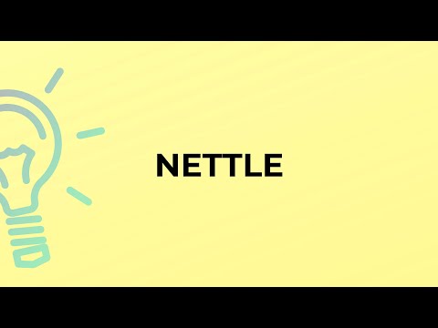 What is the meaning of the word NETTLE?