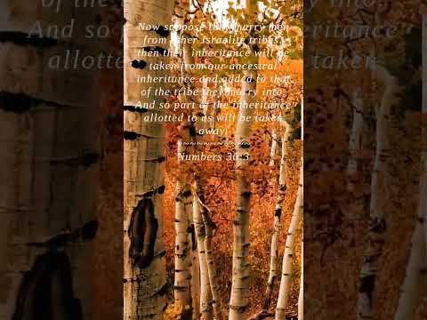 Bible | Numbers 36:3 | Now suppose they marry men fro...