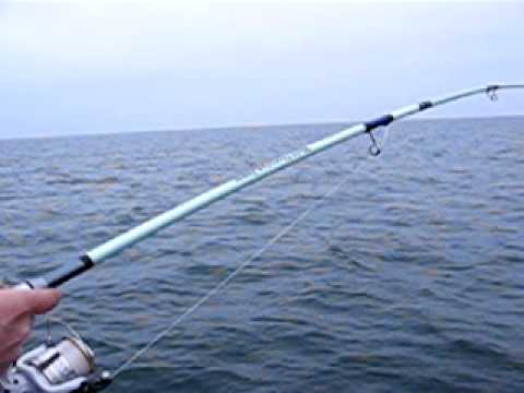 Dickdorsch auf der Ms Einigkeit "Exitus-Fishing"