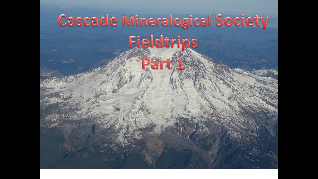 CMS Fieldtrips Part 1 updated