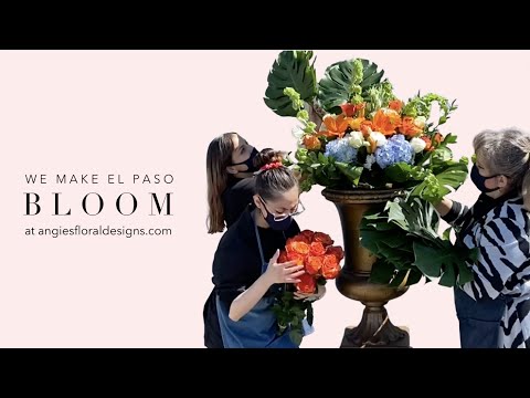 Flower Delivery by Angies Floral Designs - El Paso Florist