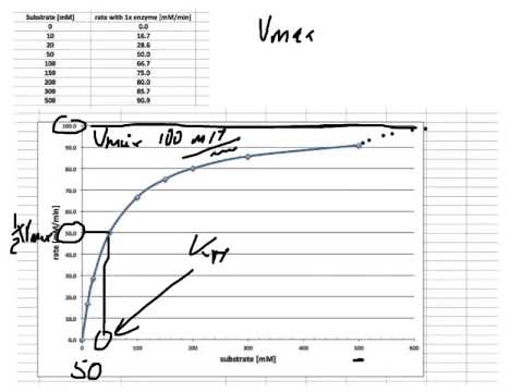 Why Km does not change with the enzyme concentration