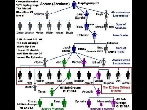 Abraham's Family Tree and Formation Of Haplogroup "E"  and The Ancient Israelite Nation