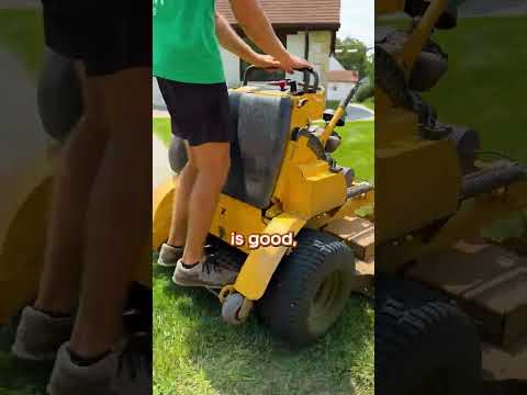What is Mulch?