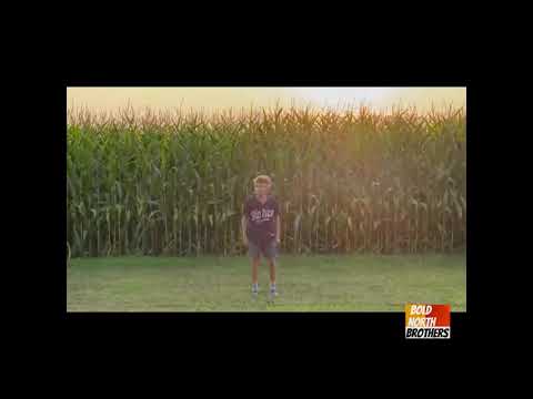 MN Twins Field Of Dreams Scene #Shorts