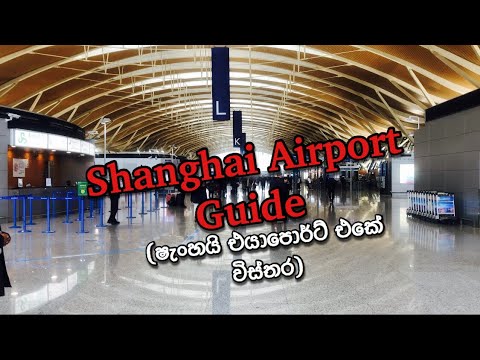 Shanghai Airport Guide
