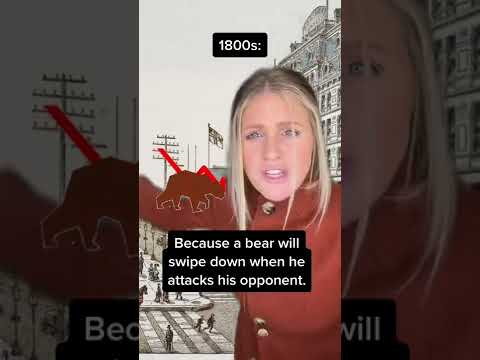 What is a bear market? What is a bull market??