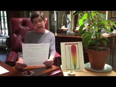 Hot Pepper Florida History Challenge - Datil Pepper
