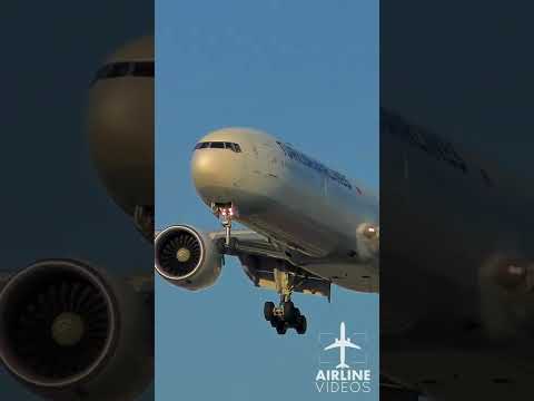 Turkish Airlines Boeing 777 LAX Arrival