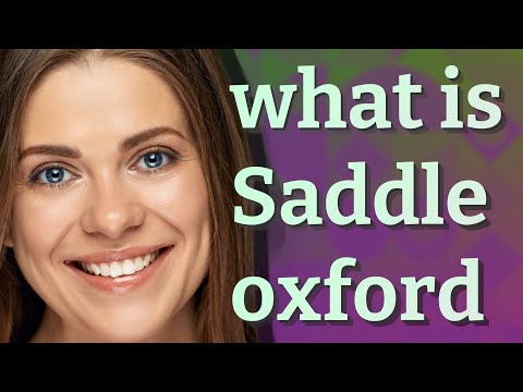 Saddle oxford | meaning of Saddle oxford