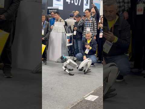 CES 2025 Unitree Humanoid Robot stands up without assistance #ces2025 Toborlife AI #humanoidrobot