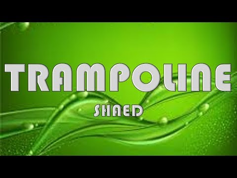 Trampoline (Lyrics) - SHAED