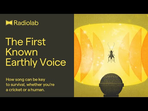 The First Known Earthly Voice | Radiolab Podcast