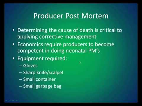 Neonatal Management