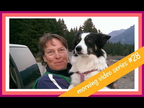 Morning Video Series (28) LIPOMAS IN DOGS