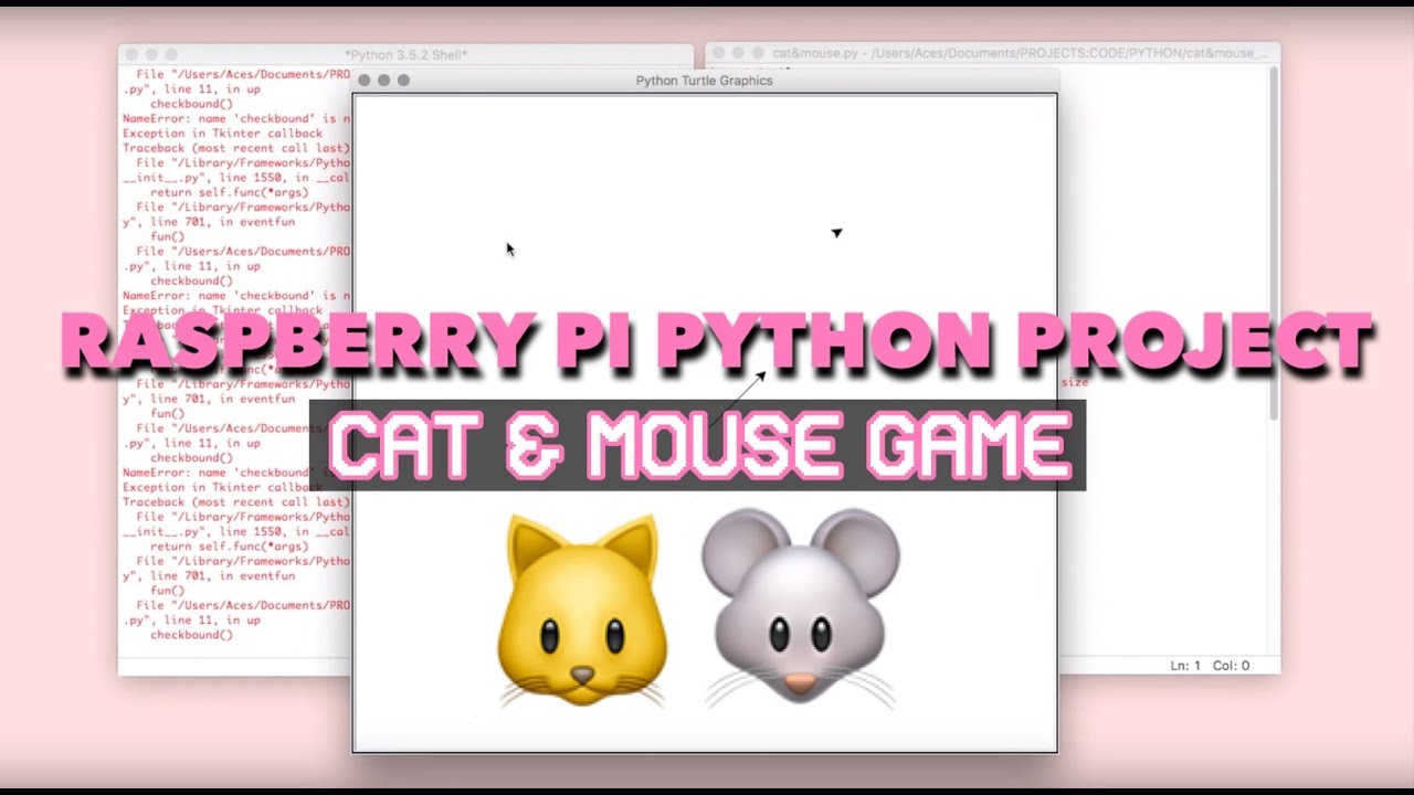 Python Coding on Macbook: Cat & Mouse Game | Raspberry Pi Project