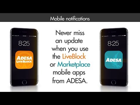 ADESA Mobile Notifications