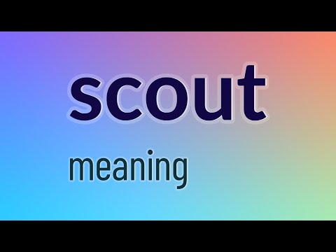 Scout - 101 English Vocabulary Flashcards