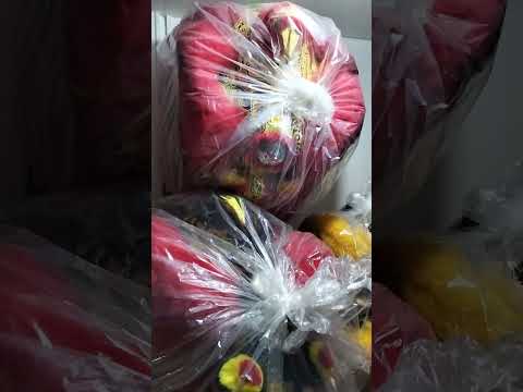 Lion Dance Costume for Chenese New Year 🎊 💜❤️