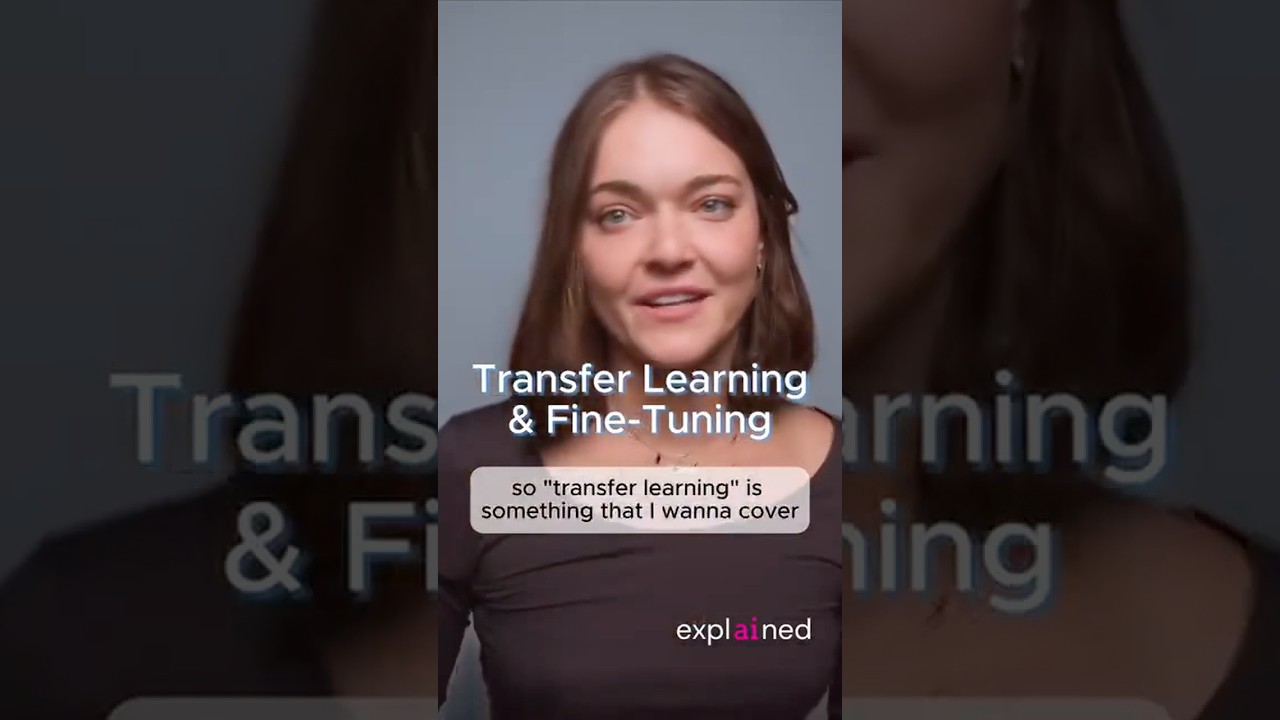 AI Explained: Transfer Learning and “Fine-tuning” explAIned