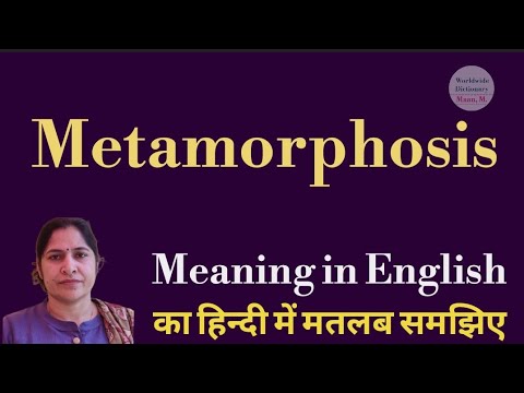 metamorphosis meaning l meaning of metamorphosis l metamorphosis ka Hindi mein kya matlab hota hai