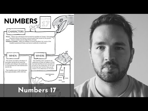 Numbers 17 Summary: A Concise Overview in 5 Minutes