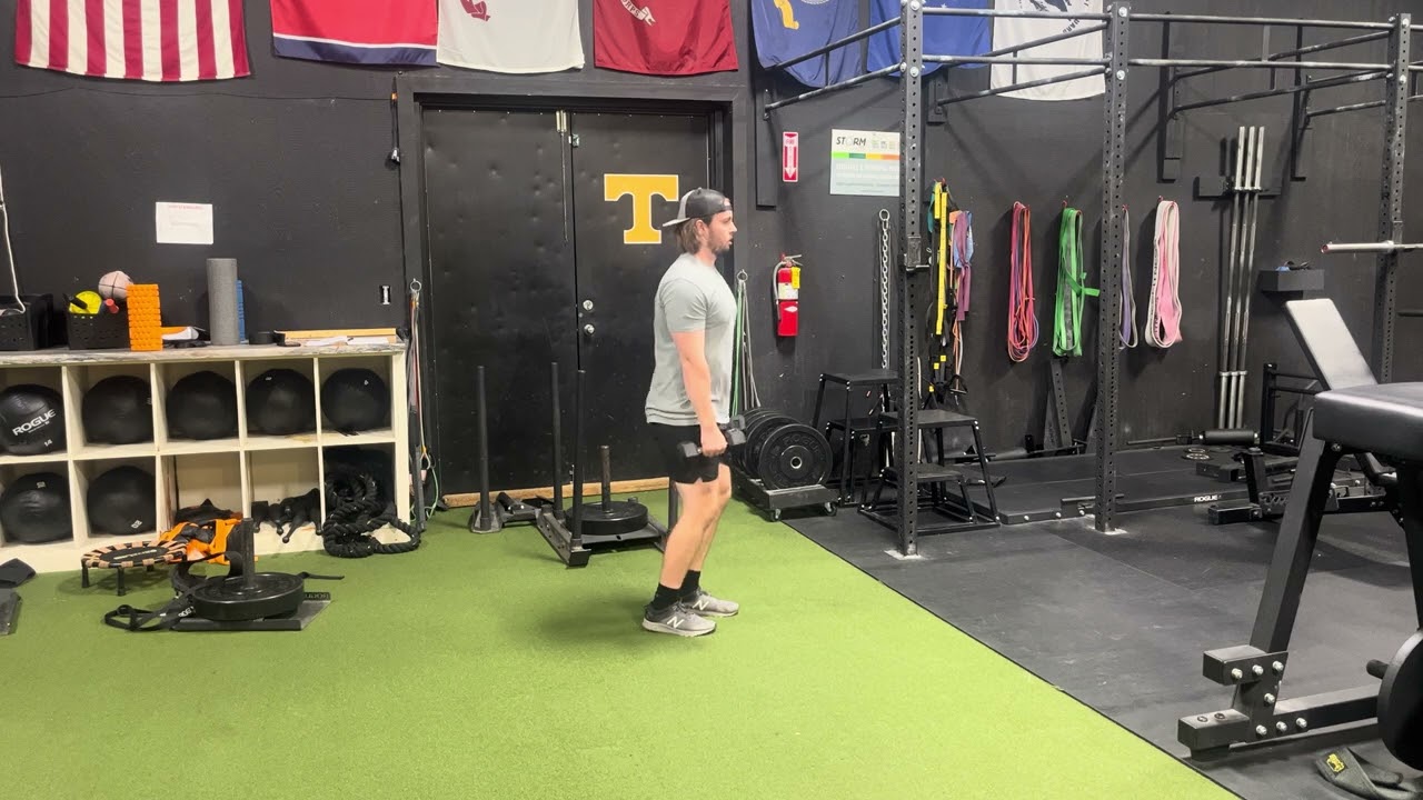 DB Split Squat Drop Catches