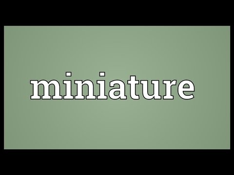 Miniature Meaning