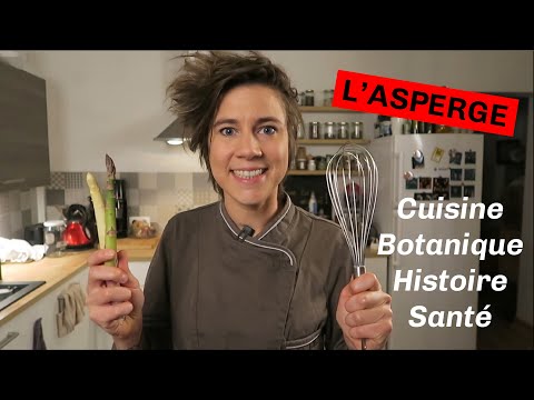 Tout savoir sur l'asperge blanche, verte ou sauvage : cuisson, botanique, santé et recettes