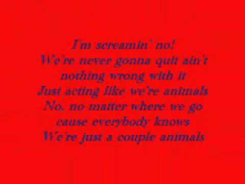 Nickelback Animals Lyrics