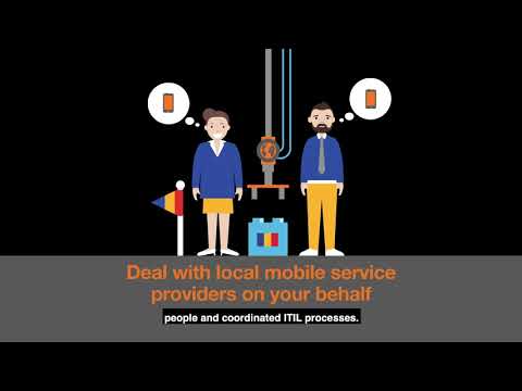 Multisourcing Service Integration management (MSI) with Orange Business Services