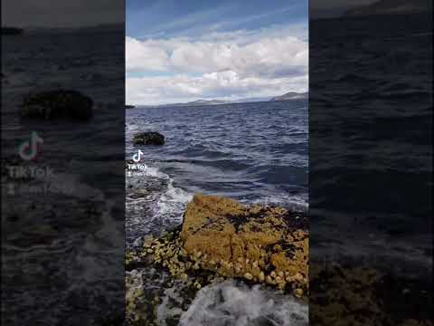 Fishing at Opossum Bay, Tasmania