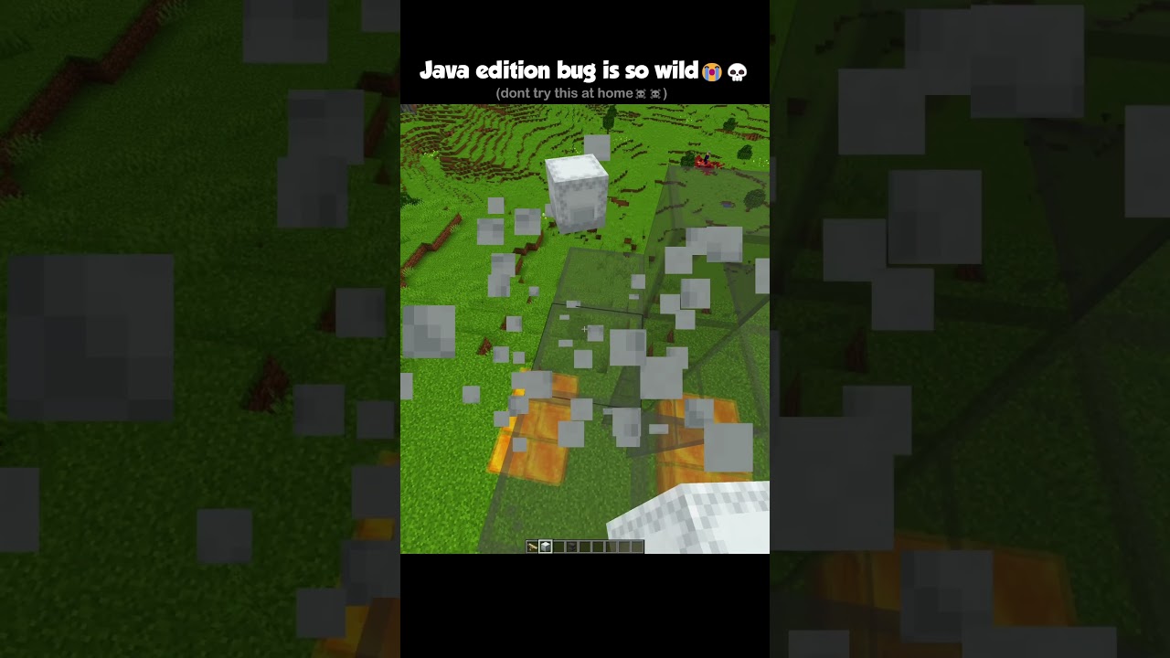 Minecraft java edition bug is so wild 😭💀