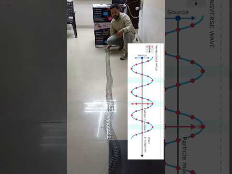 Sound wave || Transverse and Longitudinal wave || #yt #soundwave #wave @GyanKaAbhiyan