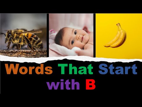 Words That Start With B