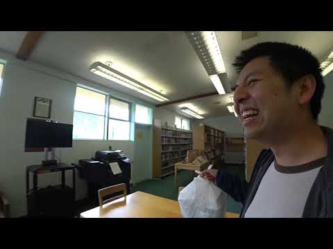 【VLOG】Visit Steena at Springville Library + Shopping with Jenny